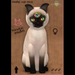 Second Life Marketplace - KittyCatS Box - Siamese - Seal Blinking ...