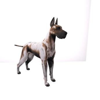 Second Life Marketplace - DOG-Royal -Greatest Dane Dark Brown White