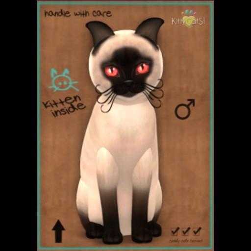Second Life Marketplace - KittyCatS Box - Siamese - Seal Vampire Wild ...