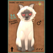 Second Life Marketplace - KittyCatS Box - Siamese - Blue Pomegranate ...