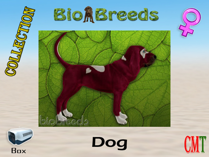 Second Life Marketplace - BioBreeds BB Valentine's 2021 Epic BLH Box Female