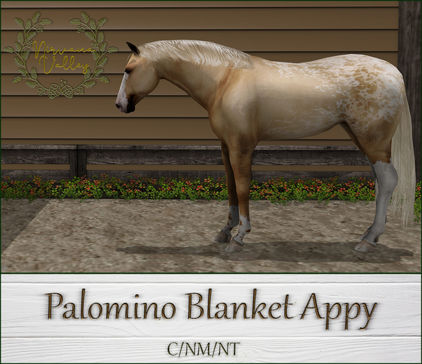 Second Life Marketplace - N.V. Palomino Blanket Appy Teegle Horse Kit