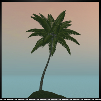 Second Life Marketplace - Realistic palm tree (2 LI each!)