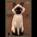Second Life Marketplace - KittyCatS Box - Siamese - Seal Curious ...