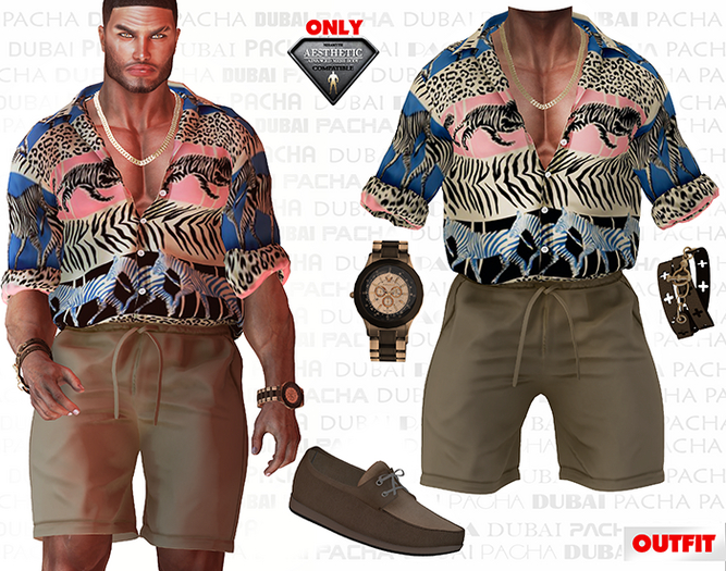 Second Life Marketplace - AESTHETIC_Pacha_Outfit_Top Brown Zebra Afro ...