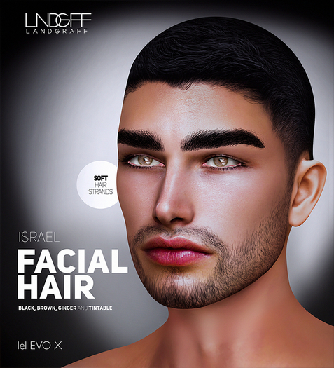 Second Life Marketplace - Landgraff - Israel Facial Hair (EvoX)
