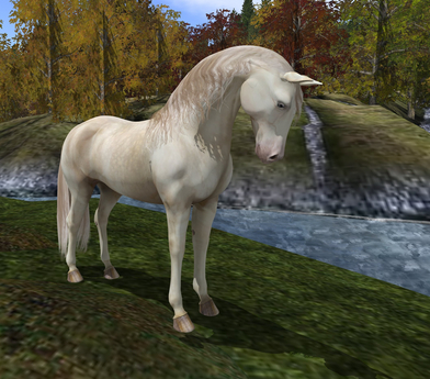 Second Life Marketplace - Texture Barn: Golden for Teegle Horses & Pets