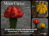 Second Life Marketplace - CR Gymnocalycium Mihanovichii Hibotan
