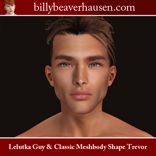 Second Life Marketplace - Lelutka Guy & Classic Meshbody Shape Trevor