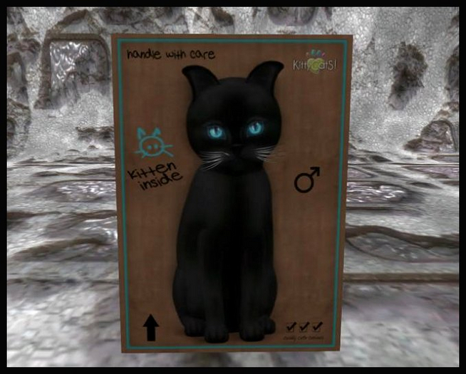 Second Life Marketplace - KittyCatS Box - ♂ M 9T Russian Black with ...