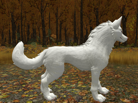 Second Life Marketplace - NM's Junk & Stuff Lobo -Albino Mod (BOX)