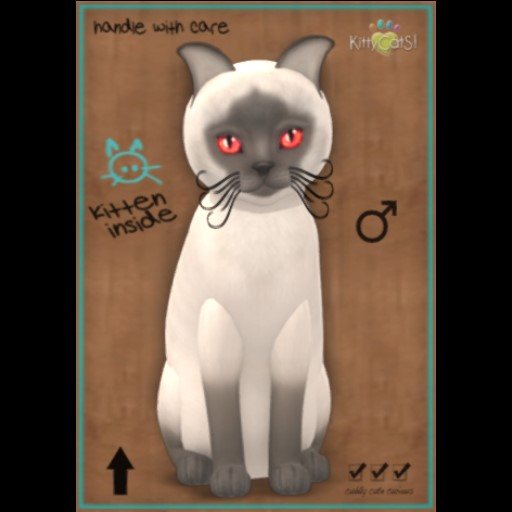 Second Life Marketplace - KittyCatS Box - Siamese - Blue Wild Double ...