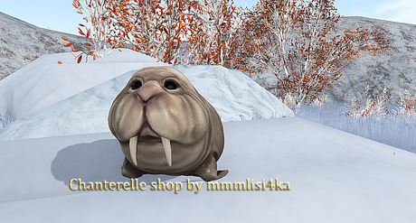 Second Life Marketplace - ::BB:: Artic Friends Walrus (grey)_BOXED animated
