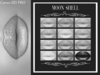 Second Life Marketplace - Moon Shell Demo Katie Lipsticks Applier Catwa ...