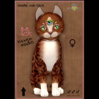 Second Life Marketplace - KittyCatS Box - Genesis - Ginger II Blinking ...