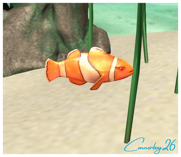 Second Life Marketplace - [Con.] Build'A'Tank - Clownfish (Animated ...