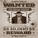 Second Life Marketplace - Buffalo Ryan - WANTED Poster WWM