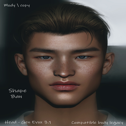 Second Life Marketplace - Inked - Shape - Ban - Head Gen Evox.