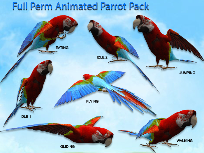 Second Life Marketplace - Full Perm Animated Realistic Parrot Pack