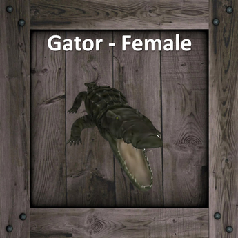 Second Life Marketplace - DFS Gator - Female (Texture Only)