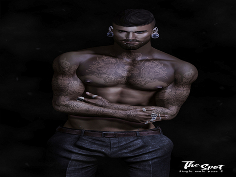 Second Life Marketplace - {The Spot} Single Male Pose 2