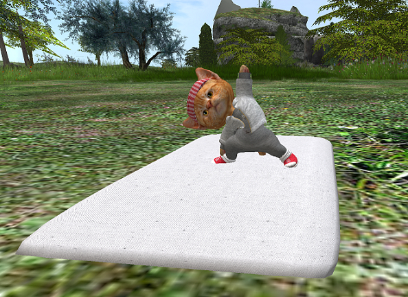 Second Life Marketplace - Dinkie Workout Mat