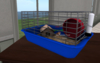Second Life Marketplace - + GIO +Fluffy the Roleplay Hamster