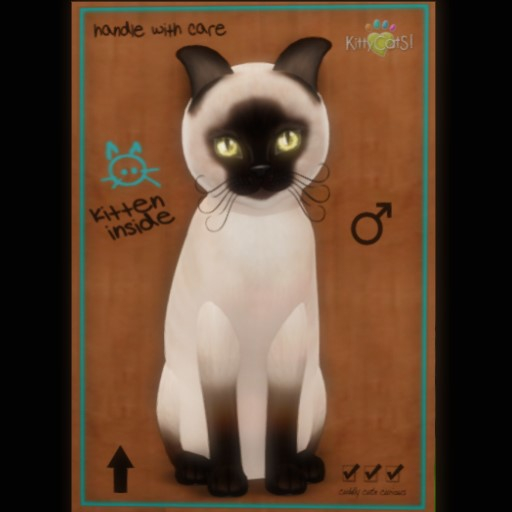 Second Life Marketplace - KittyCatS Box - Siamese - Seal Wild Dreamy ...