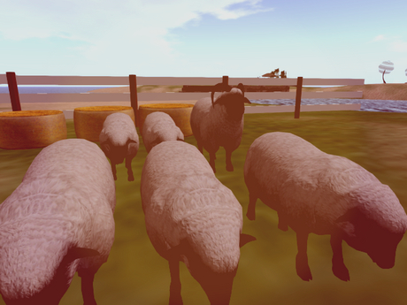 Second Life Marketplace - MSM_Sheep_Fem_5
