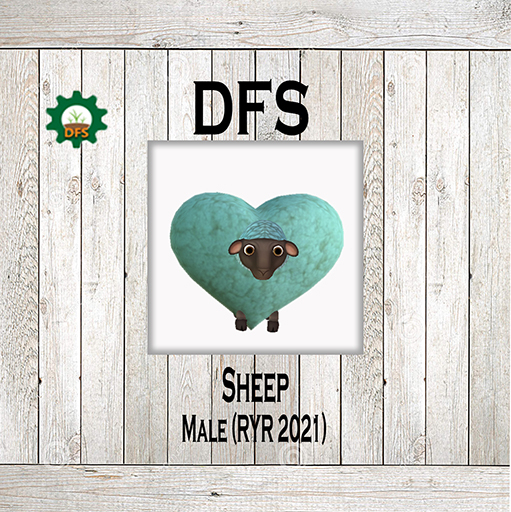 Second Life Marketplace - DFS Sheep - Male (RYR 2021) - LIMITED EDITION ...