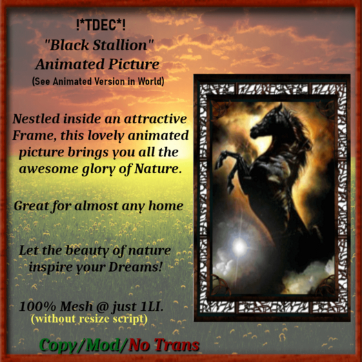 Second Life Marketplace - !*TDEC*! - "Black Stallion" Animated Picture