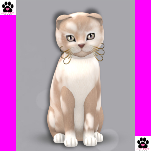 Second Life Marketplace - KittyCatS Box 106 - Male - 8T - British ...