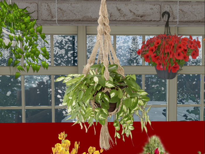 Second Life Marketplace - NEW Hanging Macrame Green Plant 2021