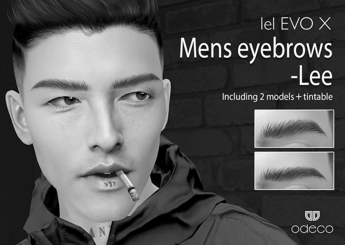 Second Life Marketplace - ::odeco::Mens eyebrows_Lee (lel evo X)_DEMO