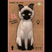 Second Life Marketplace - KittyCatS Box - Siamese - Seal Dry Olive ...