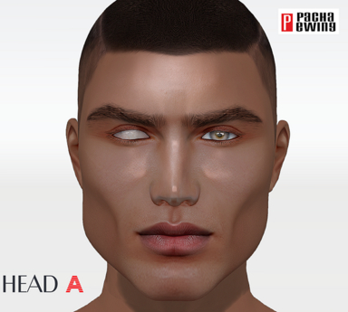 Second Life Marketplace - PACHA - Head - Chivaslo - X -BOM-Slink ...