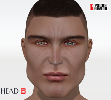 Second Life Marketplace - PACHA - Head - Chivaslo - X -BOM-Slink ...