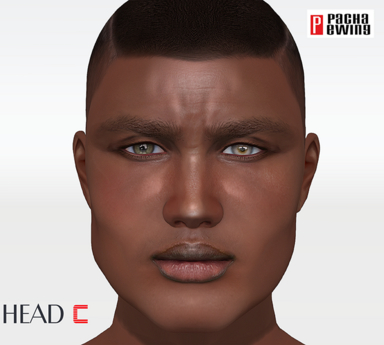 Second Life Marketplace - PACHA - Head - Chivaslo - X -BOM-Slink ...
