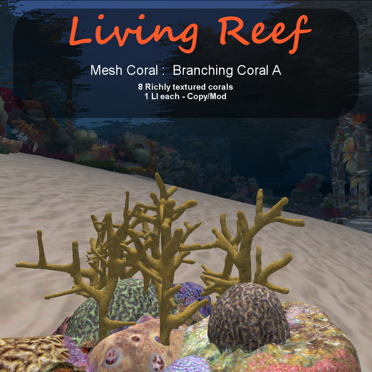 Second Life Marketplace - Inochi Reef - Mesh Branching Coral A