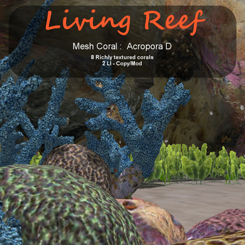 Second Life Marketplace - Inochi Reef - Mesh Acropora D