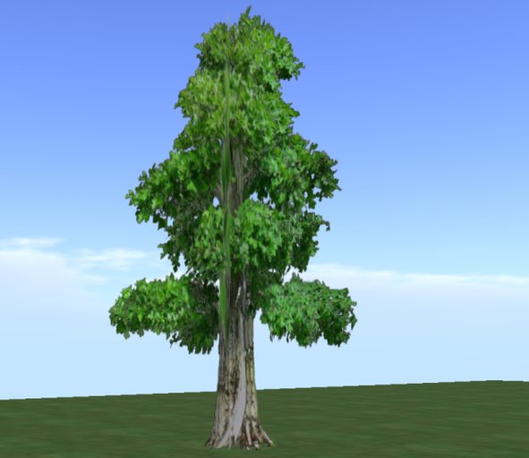 Second Life Marketplace - Ginko Tree 15m RP