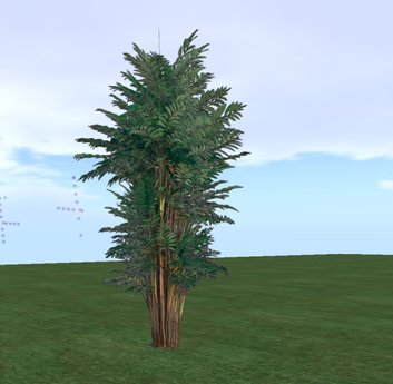 Second Life Marketplace - Palm Tree 2 RP