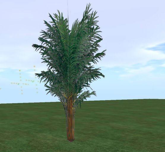 Second Life Marketplace - Palm Tree 1 RP