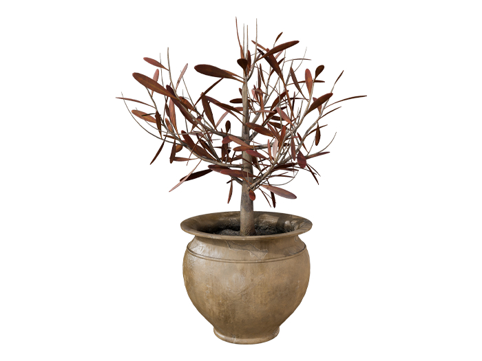 Second Life Marketplace - Nutmeg. Cosy Gathering Potted Tree