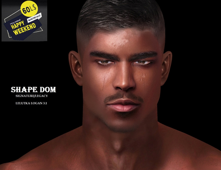 Second Life Marketplace - YOU - Dom Shape for Lelutka Logan Head 3.1 Evo X