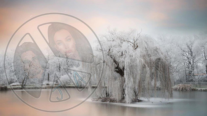 Second Life Marketplace - 54 - Winter - Frozen weeping willow and lake ...