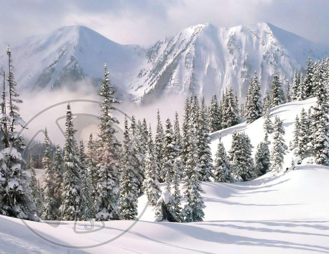 Second Life Marketplace - 62 - Winter - Snowy Mountains and Pines ...
