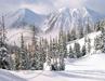 Second Life Marketplace - 62 - Winter - Snowy Mountains and Pines ...