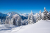 Second Life Marketplace - 65 - Winter - Snowy Mountains and Pines ...