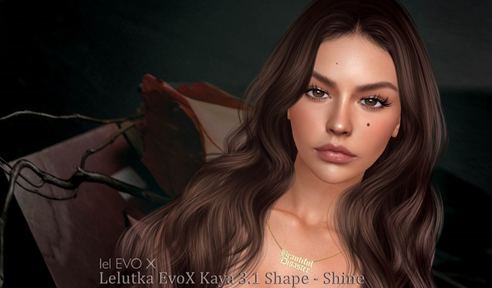 Second Life Marketplace Lelutka Evox Head Kaya Shape Shine 4473